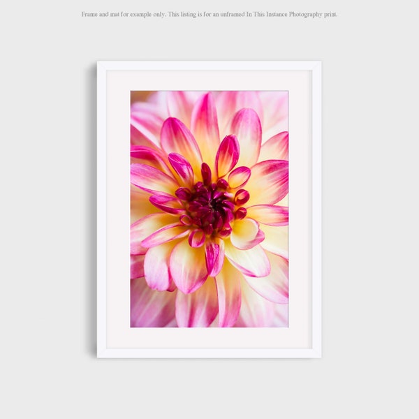 Floral Photography - Etsy