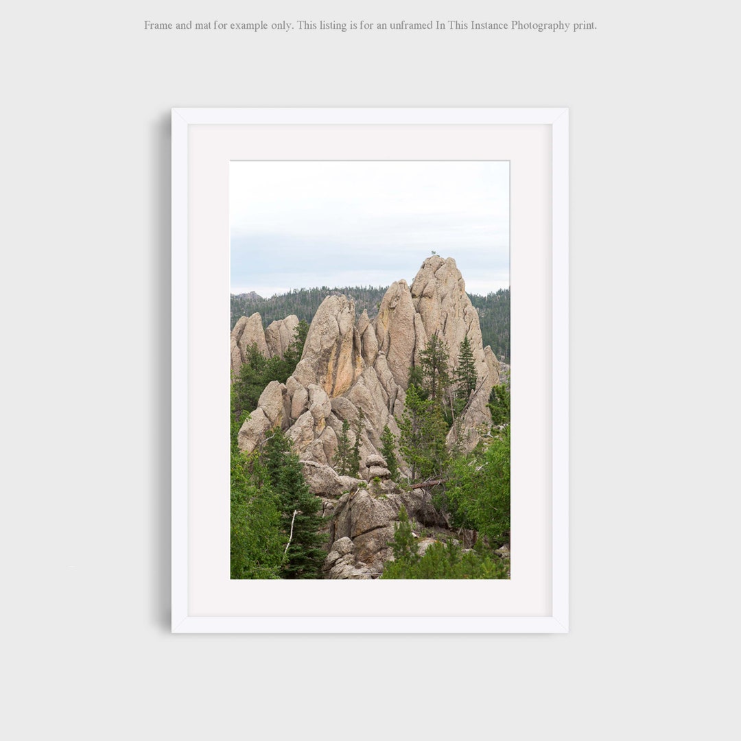 Black Hills Needles Spire Photograph: Custer State Park Wall Art - Etsy