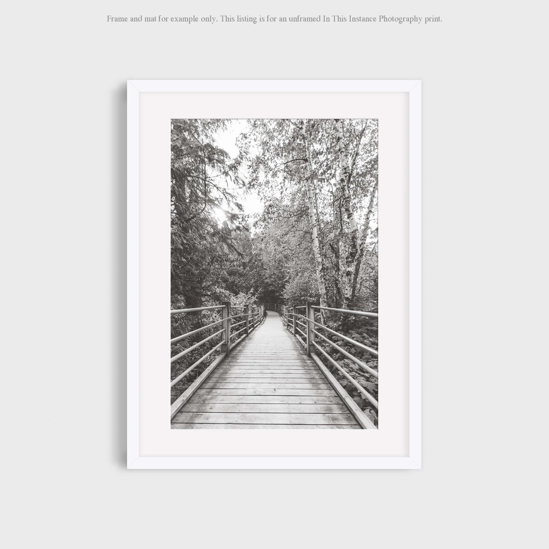 Minnesota Northwoods Trail Photography Print: Black and White Midwest ...