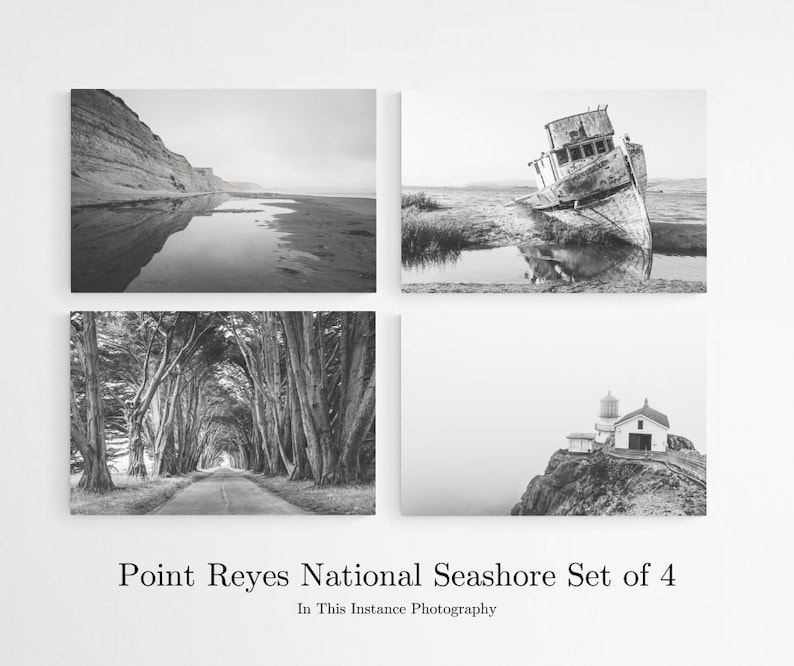 Point Reyes Photography Set of 4 Black and White California Coast ...