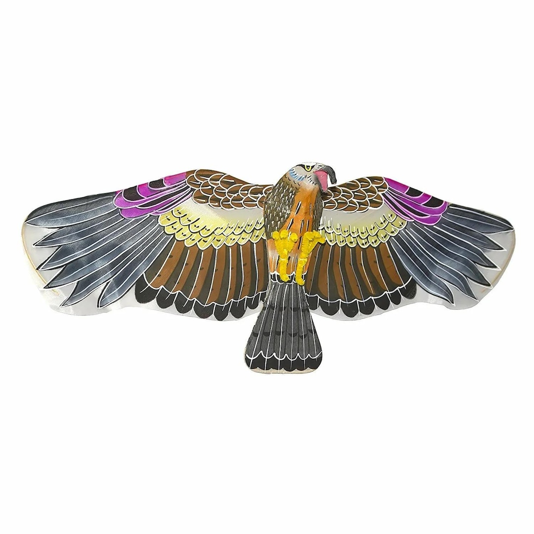 Small Silk Eagle Kite With Gift Box - Chinese Handmade Kites - Etsy