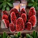 1pc Natural Red Geode Crystal Cluster With Display Base – Unique ...