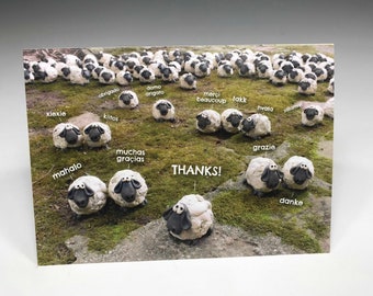 Sheep Thank You | Etsy