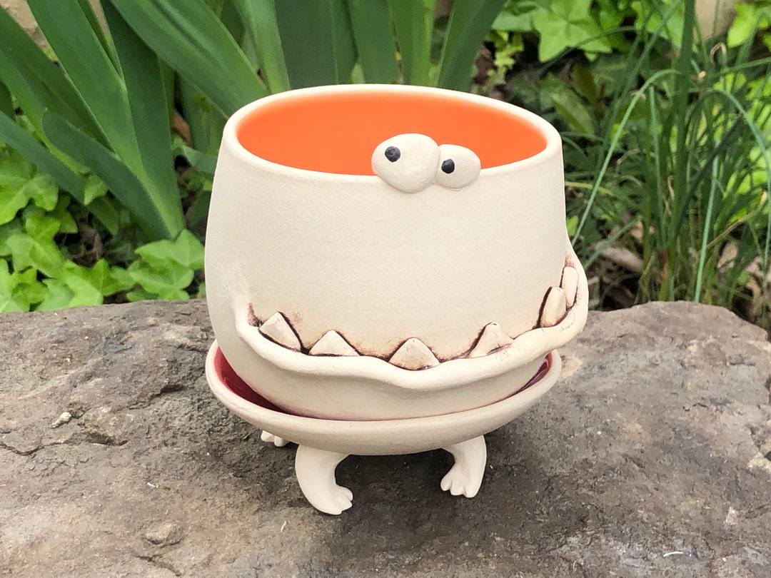 LARGE TOOTHY Tangerine Orange and Wine Red Potbellied Pothead Succulent ...