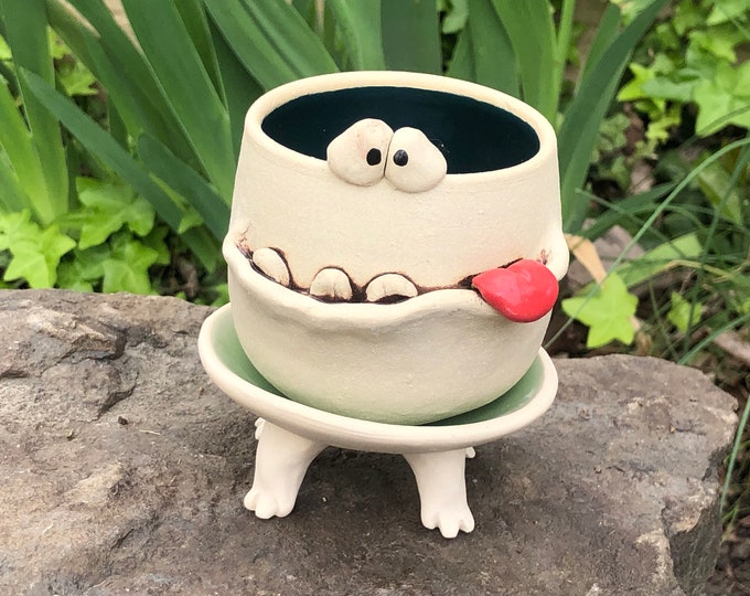 GOOFY Teal Green and Sage Green Potbellied Pothead Succulent Planter ...