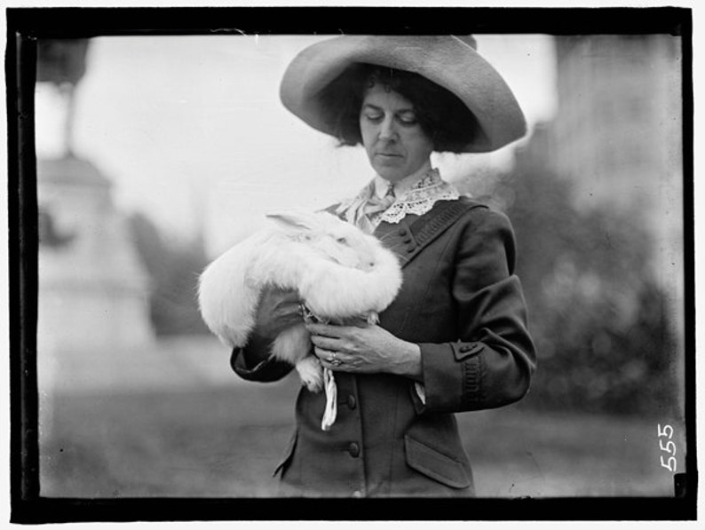 Lady With Rabbit, Set of 10 Cards - Etsy