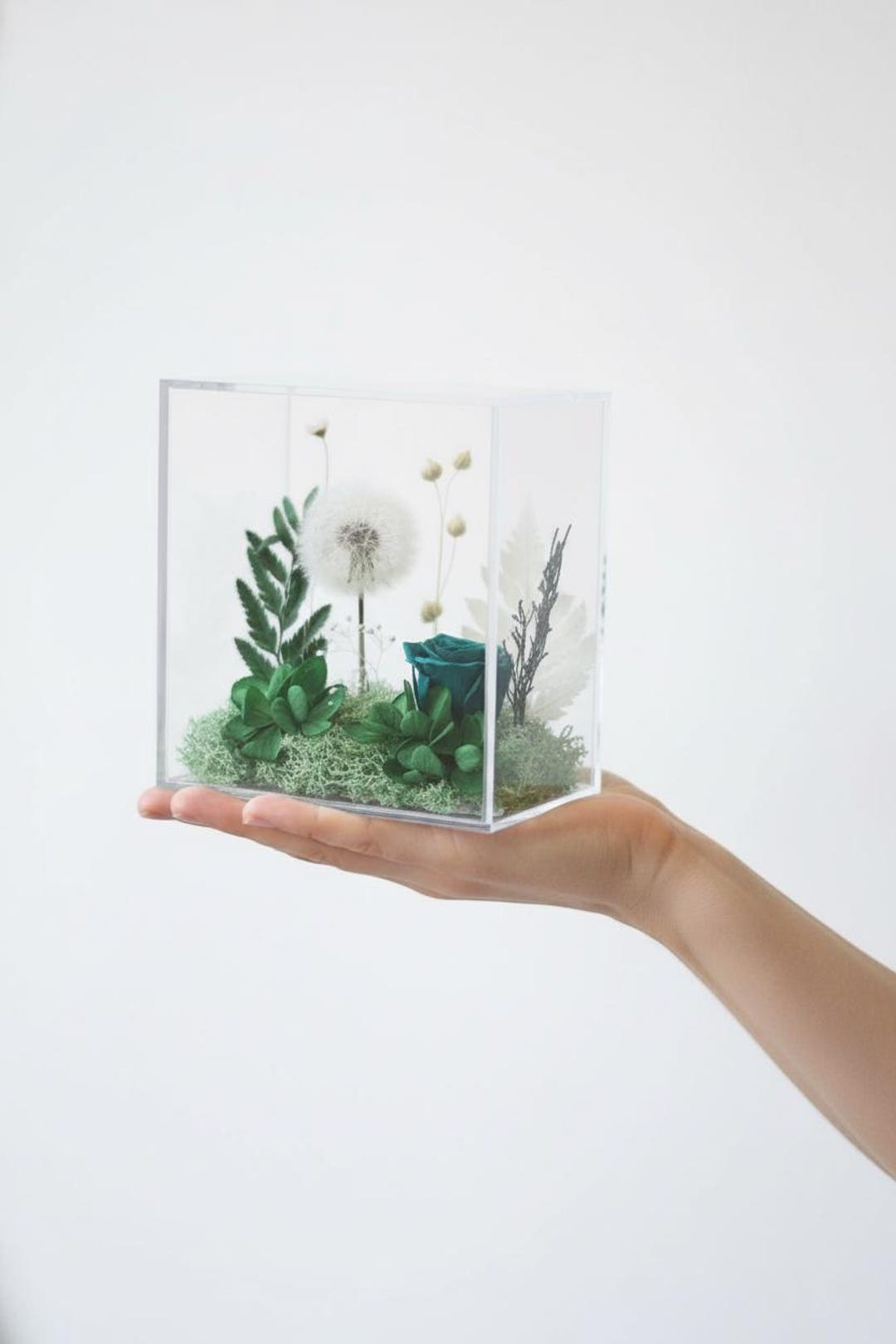 Eternal Dandelion & Teal Rose Display | Preserved Green Botanical Desk ...