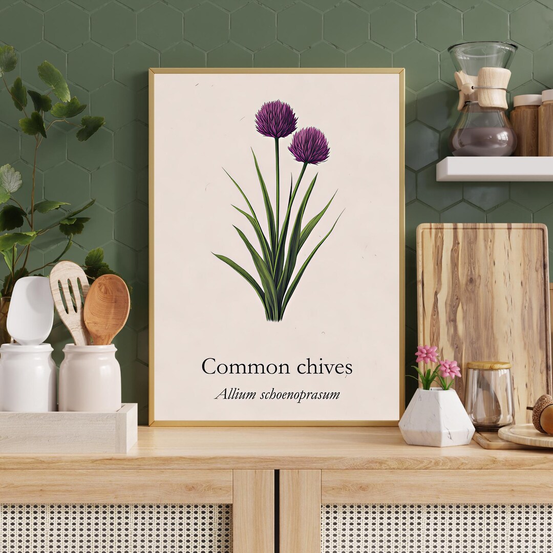 Common Chives Kitchen Apothecary Herb Art | French Country Bistro Decor ...