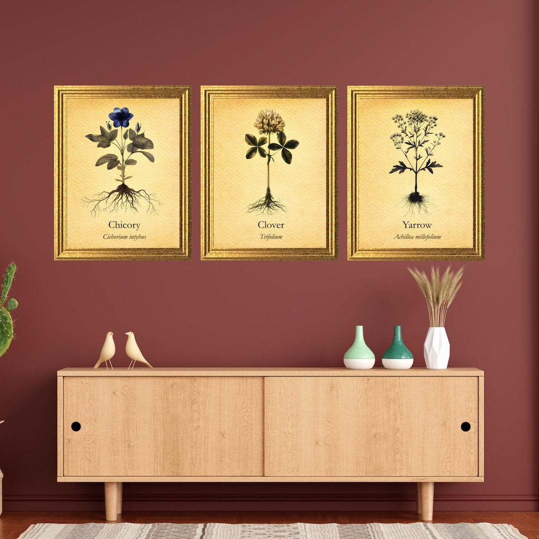 Vintage Botanical Prints Set | Gold Frame Herbarium Art (digital ...