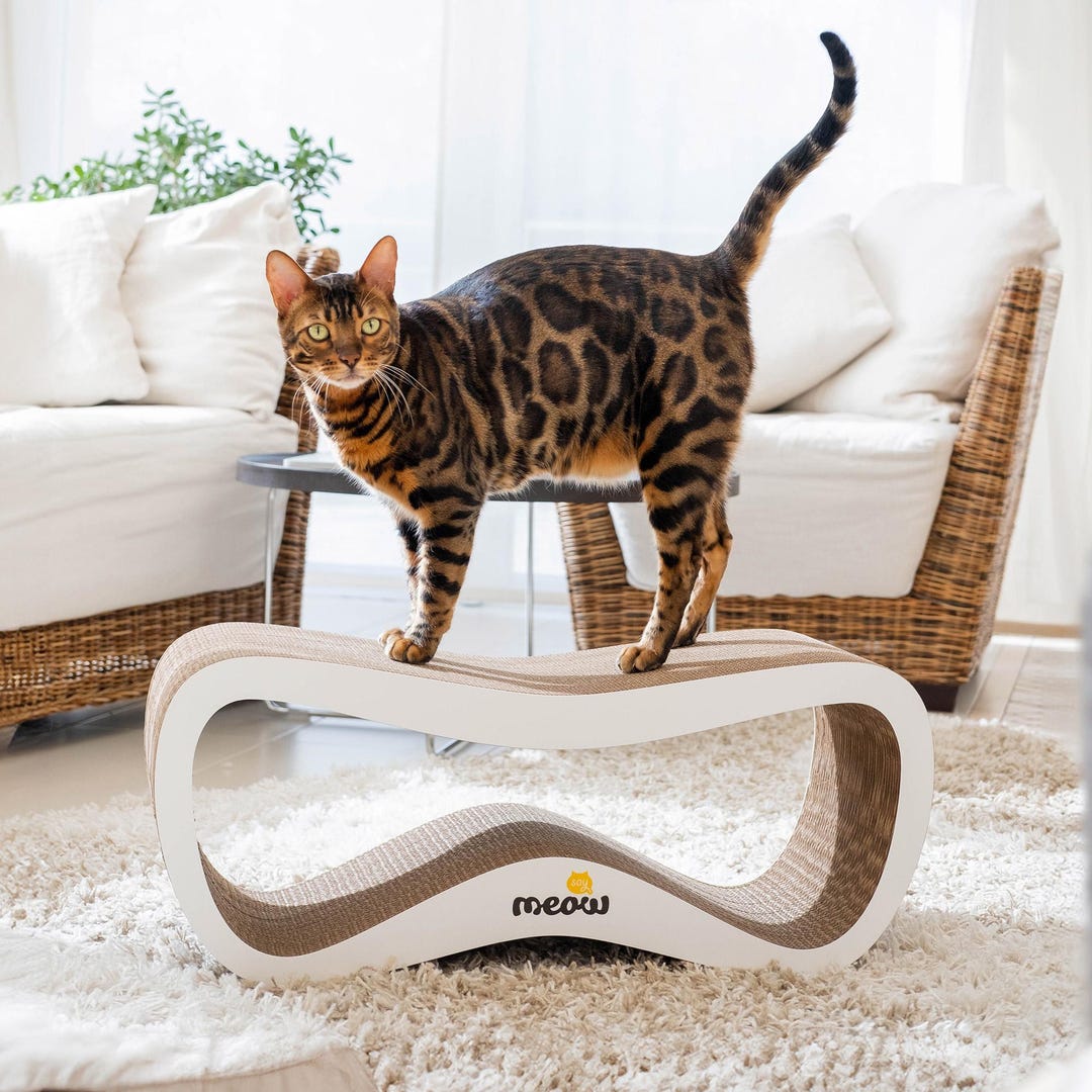 Cat Scratching Post, Lounger, Cardboard Scratcher, Eco-friendly Scratch ...