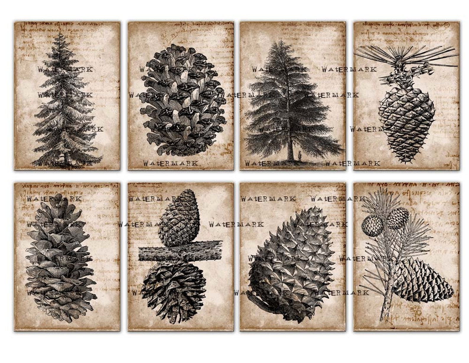 Christmas Trees and Pine Cones, Vintage Botanical Shabby - Gift Tags ...