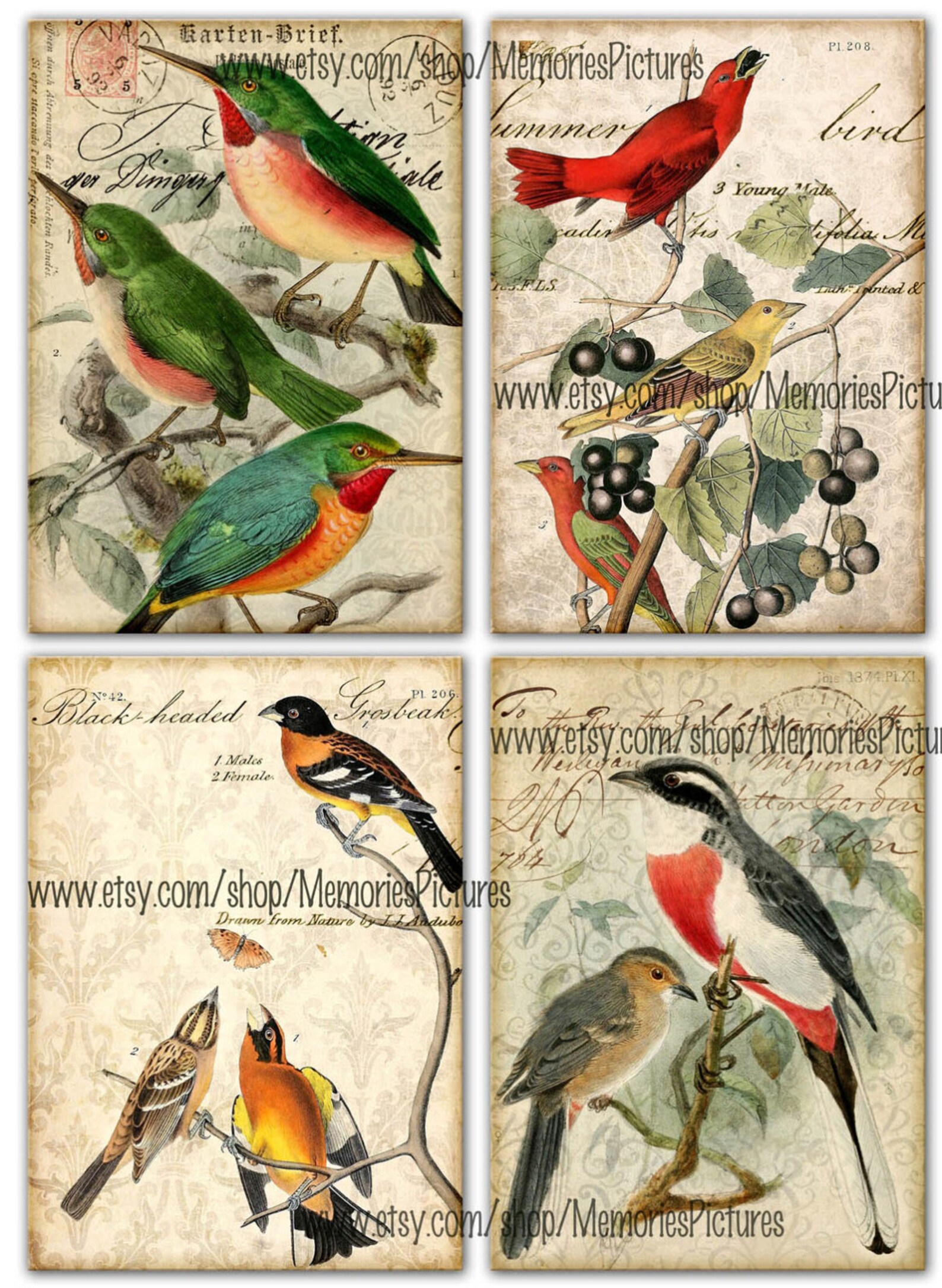 INSTANT DOWNLOAD. Spring Birds, Digital Papers, Decoupage 6 ...