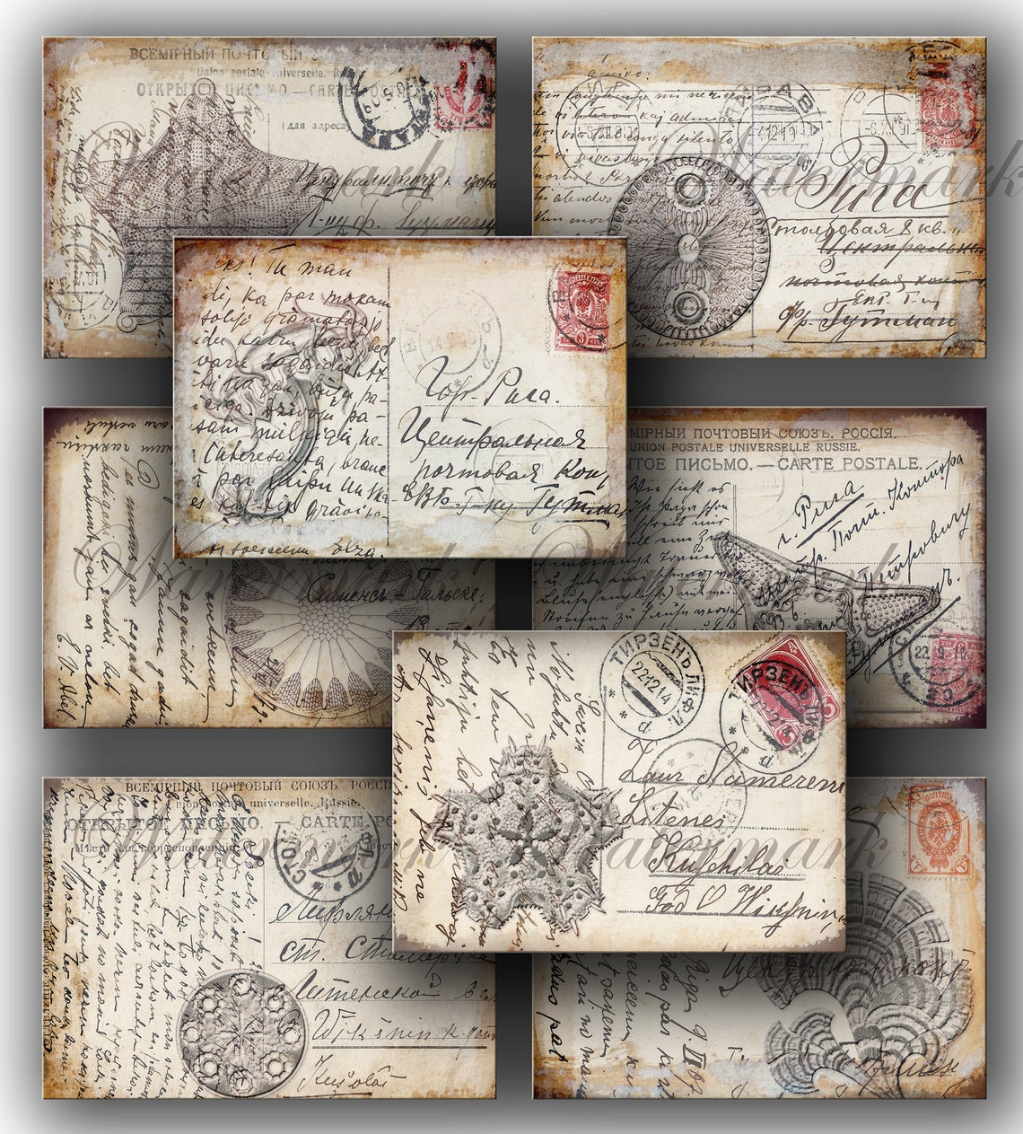 Scrapbooking Ephemera Old Postcards Vintage Shell Marine | Etsy