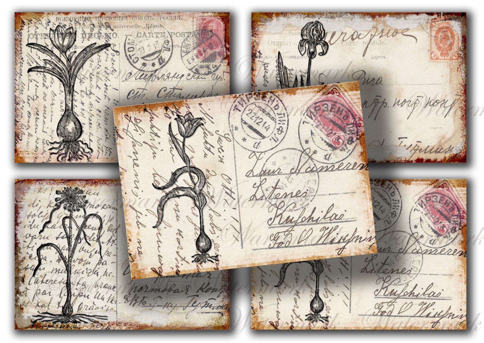 Vintage Flowers on Old POST CARDS, Spring Tulips, Iris, Letters 4x6 ...