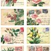 Vintage Flowers POST CARDS, Botanical Plants French Script - Gift Tags ...