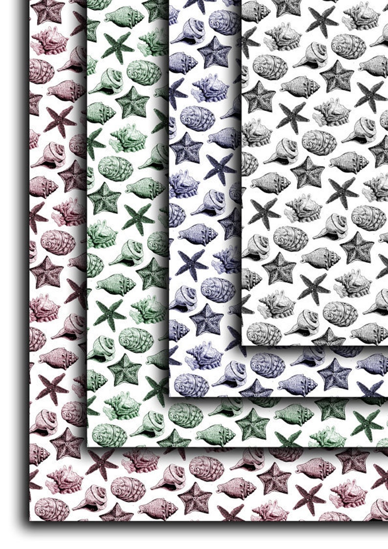 Sea Shells, Sea Stars, Marine Life, Ocean Graphic Image - Digital Image ...