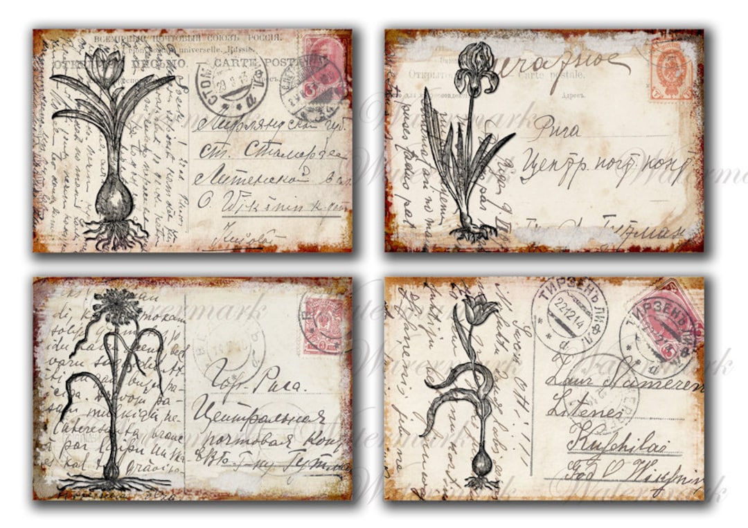 Vintage Flowers on Old POST CARDS, Spring Tulips, Iris, Letters 4x6 ...