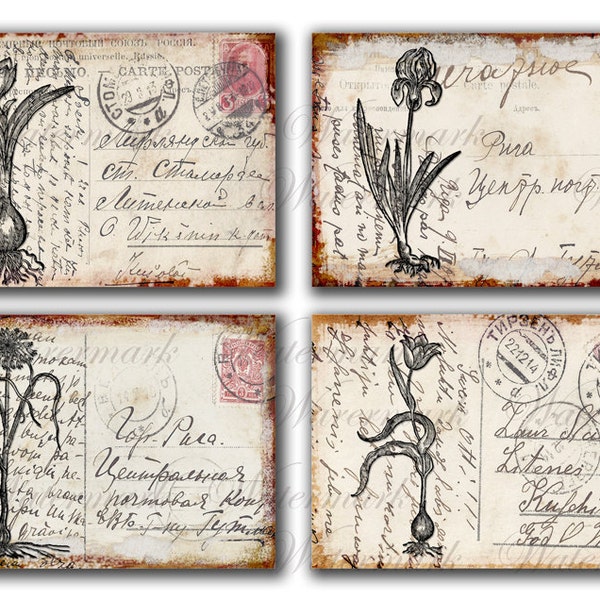 Vintage Botanical Floral, Plants, Old Paper, Drawing , Set of 4 Digital ...