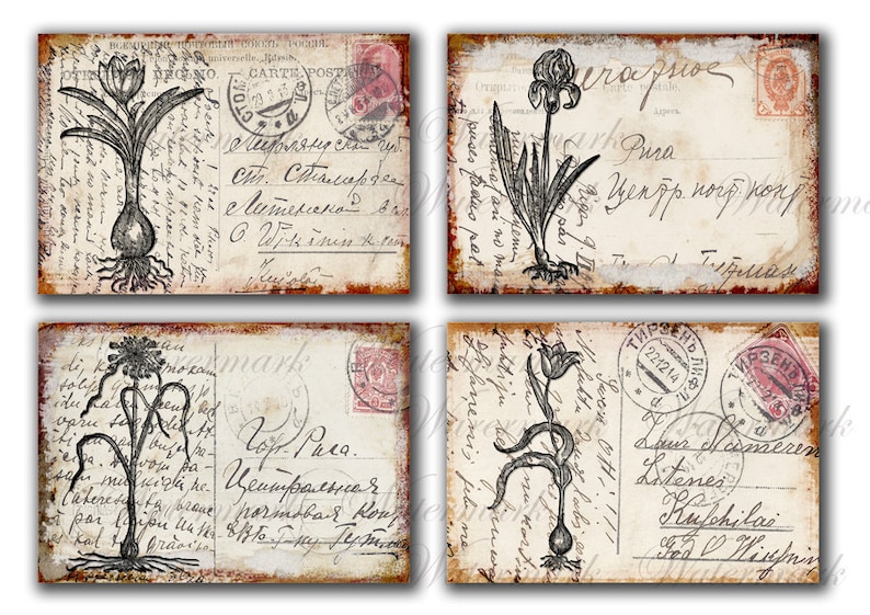 Vintage Flowers on Old POST CARDS, Spring Tulips, Iris, Letters 4x6 ...