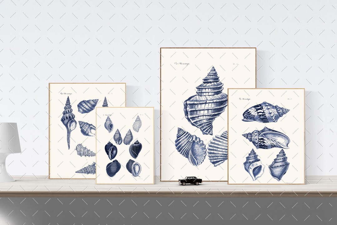 Blue Shell, Antique Prints, Marine Life, Sea, Ocean, Beach, Papers ...