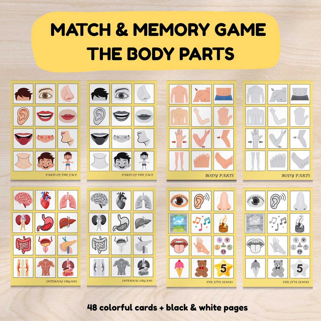 Body Parts Match, Memory Game – Printable Learning , Educational Flash ...