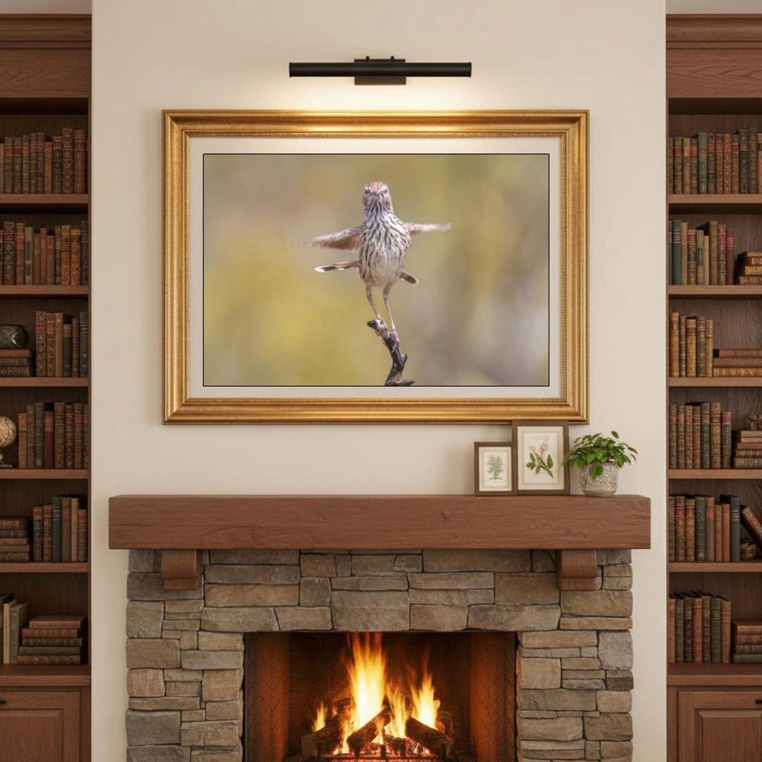 Digital Print: Western Fieldwren - Etsy