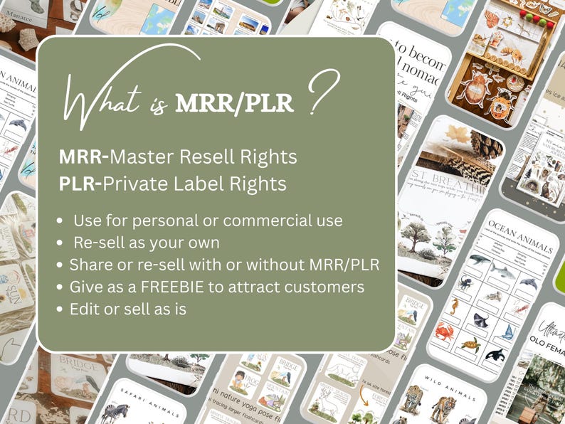 Pacote Completo Kid's Biz - Mais de 200 Produtos Digitais com MRR e PLR ...