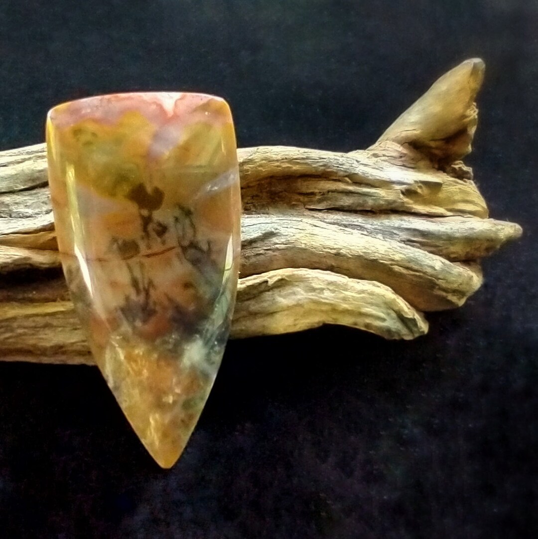 Coprolite Cabochon Flattened Teardrop Shape Cool Colors of - Etsy