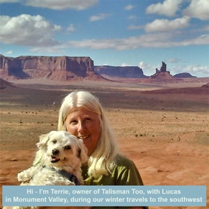 Hava Ridge Jasper Cabochon, Flattened Teardrop Shape, Semiprecious ...