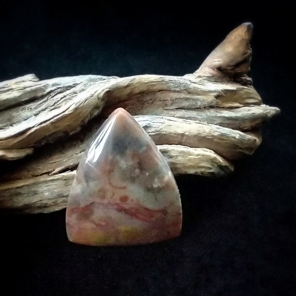 Coprolite - Etsy