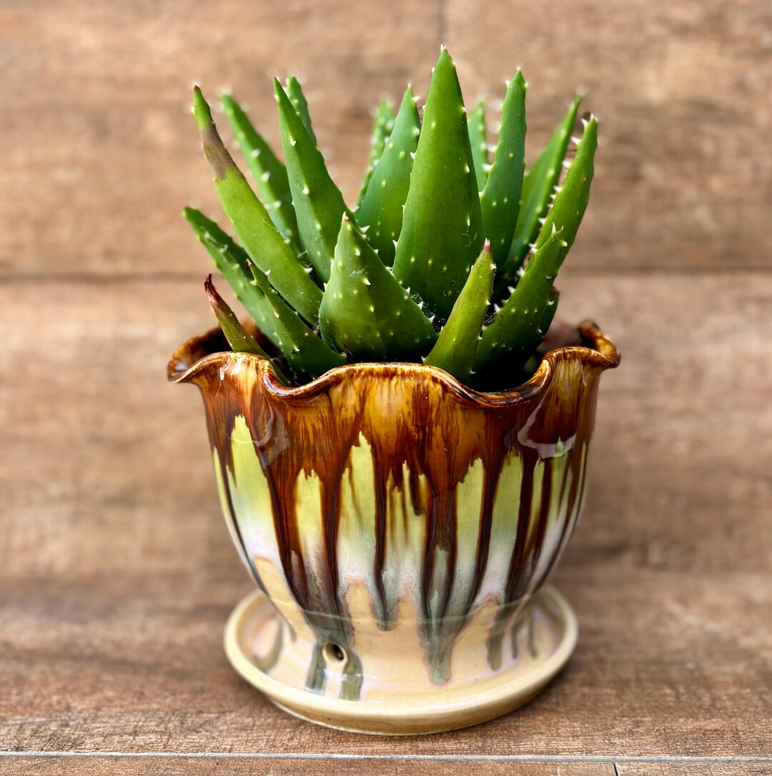 Hand Made Ceramic Planter - Pottery Pot With Attached Drainage Tray ...