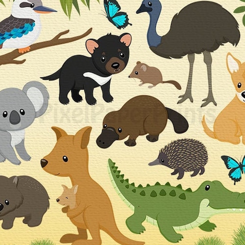 Australian Animals Clip Art Collection 17 Elements PNG / - Etsy Australia