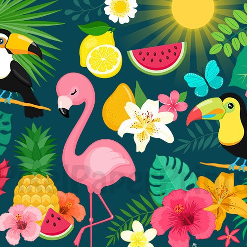 Tropical Clipart Tropical Birds Clip Art Tropical Summer - Etsy