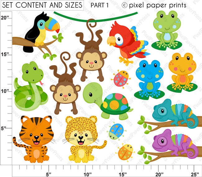 Rainforest PNG - Cute Rainforest Animals Clip Art - Digital Download ...