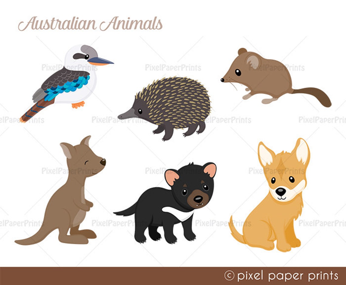 Australian Animals Clip Art Australia Clipart Digital - Etsy