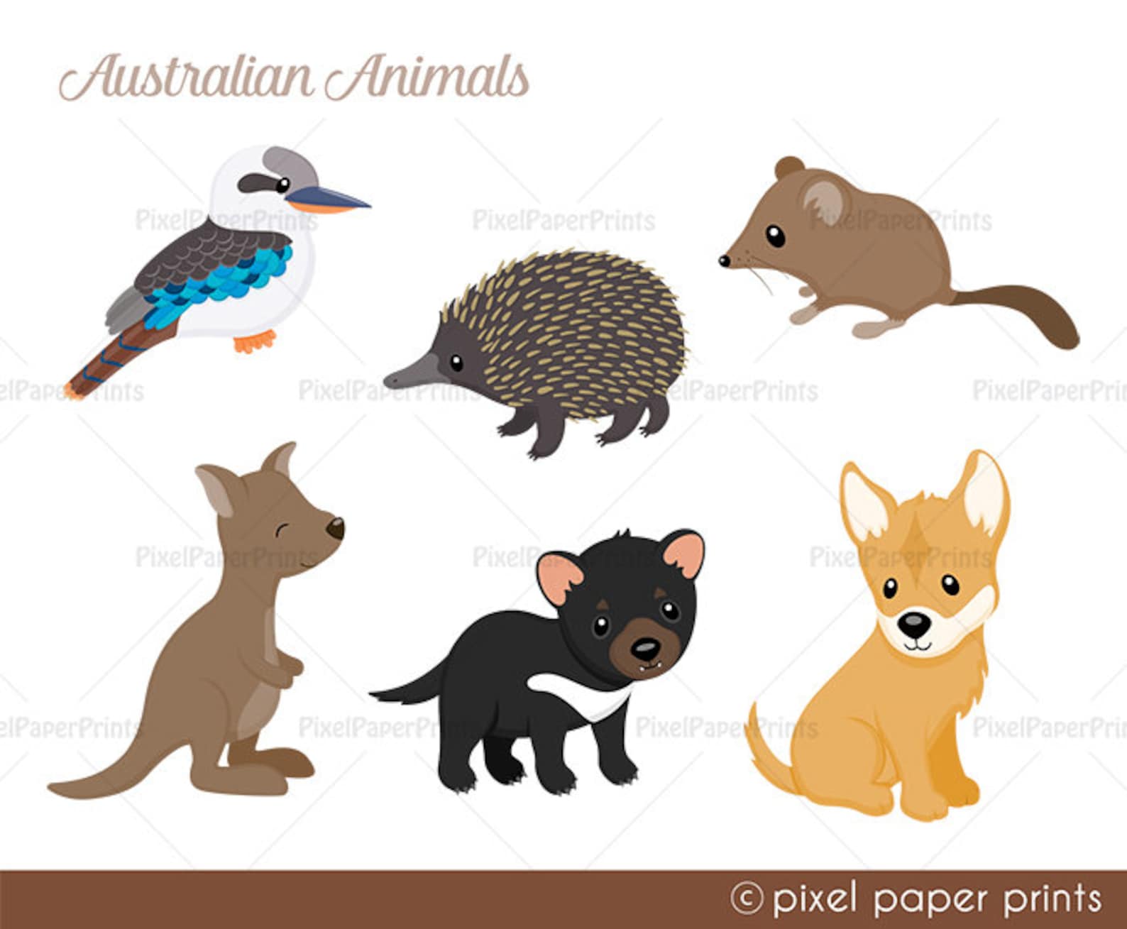 Australian Animals Clip Art Australia Clipart Digital - Etsy