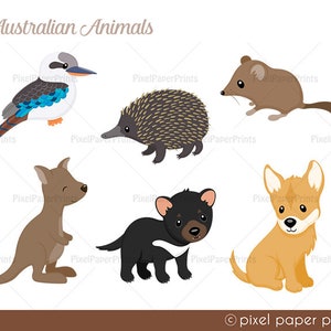 Australian Animals Clip Art - Australia Clipart - Digital Download ...