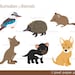 Australian Animals Clip Art - Australia Clipart - Digital Download ...