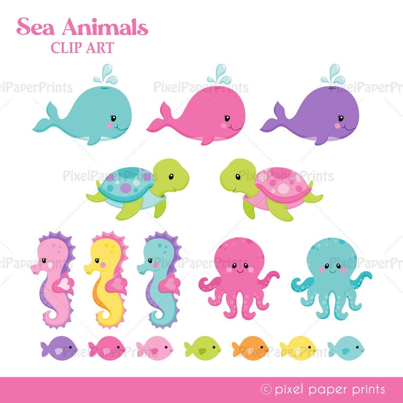 Buy Sea Animals Clipart PNG, Cute Ocean Animal Graphics and Printable ...