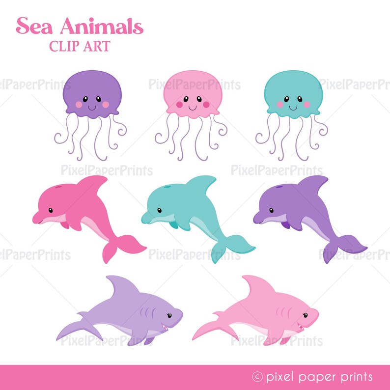 Buy Sea Animals Clipart PNG, Cute Ocean Animal Graphics and Printable ...