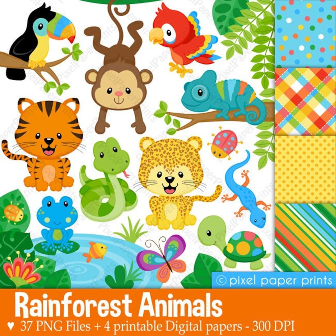 Rainforest PNG - Cute Rainforest Animals Clip Art - Digital Download ...