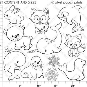 Arctic Animals - Digital Stamps - Clipart - Etsy