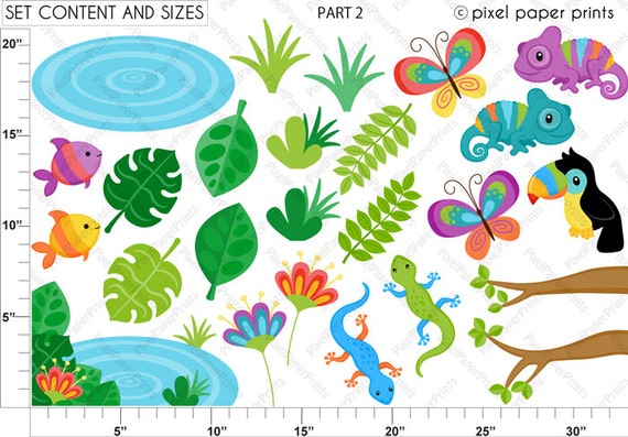 Rainforest Animals - Clip Art — PixelPaperPrints