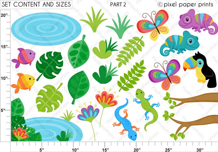 Rainforest PNG - Cute Rainforest Animals Clip Art - Digital Download ...