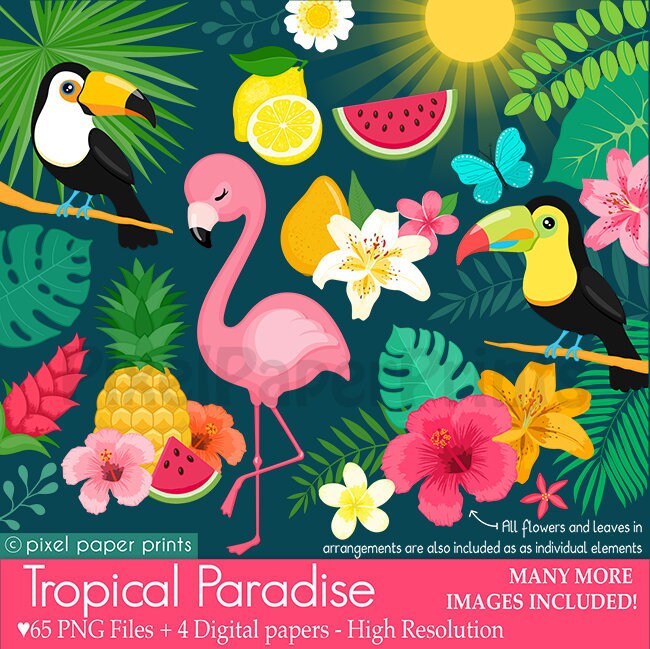Floral Clipart Commercial Use Sublimation PNG Flamingo Clipart Tropical ...