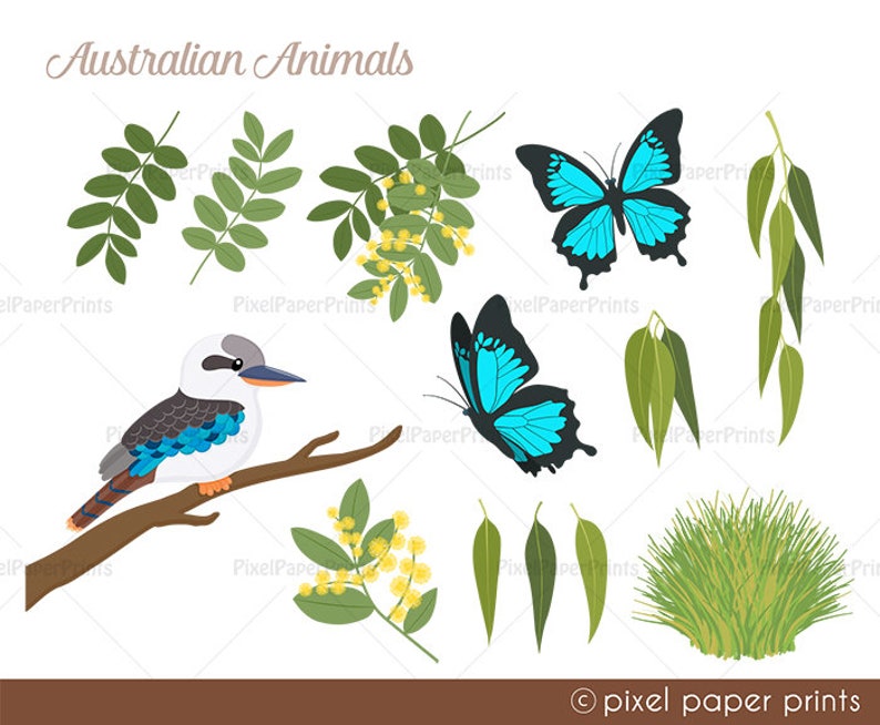 Australian Animals Clip Art Australia Clipart Digital - Etsy