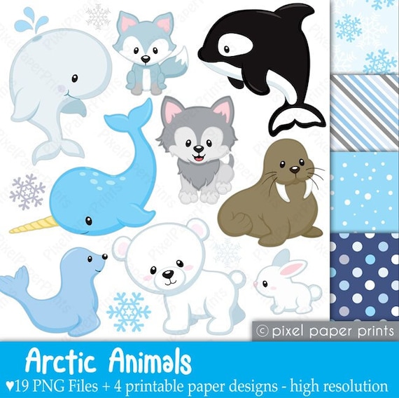 Arctic animals - Clipart and paper set - Arctic clipart - Digital ...