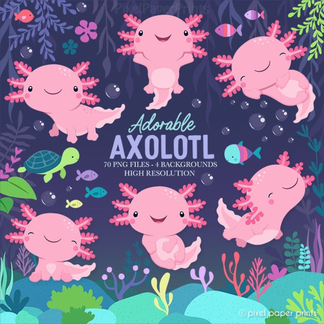 Axolotl Clip Art Cute Axolotl Clip Art and Digital Paper - Etsy
