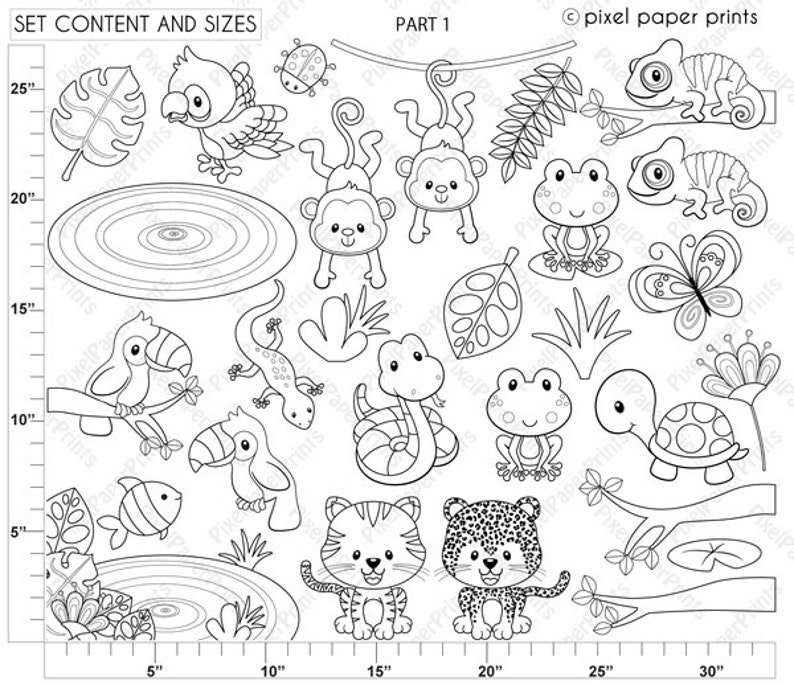 Rainforest Animals Digital Stamps Clipart - Etsy UK