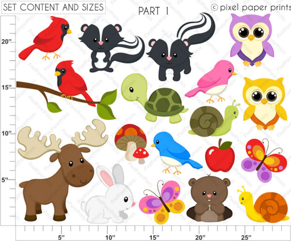 Forest Friends Clip art and Digital paper set Digital - Etsy Nederland